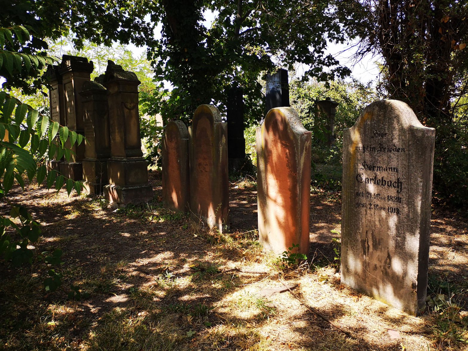 "Heiliger Sand" - Der älteste jüdische Friedhof Europas