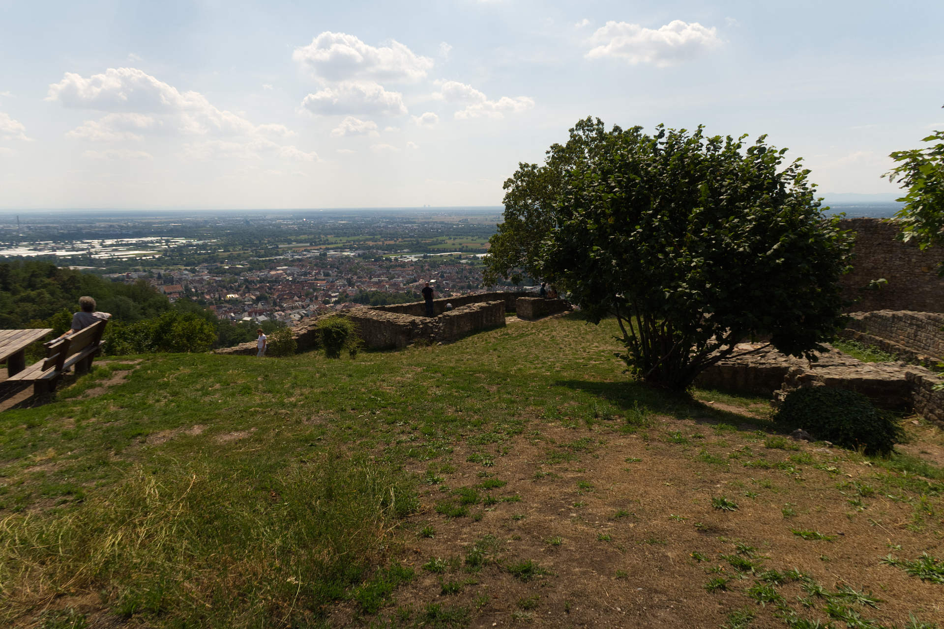 To do in Heidelberg: Wanderung zur Burgruine Schauenburg